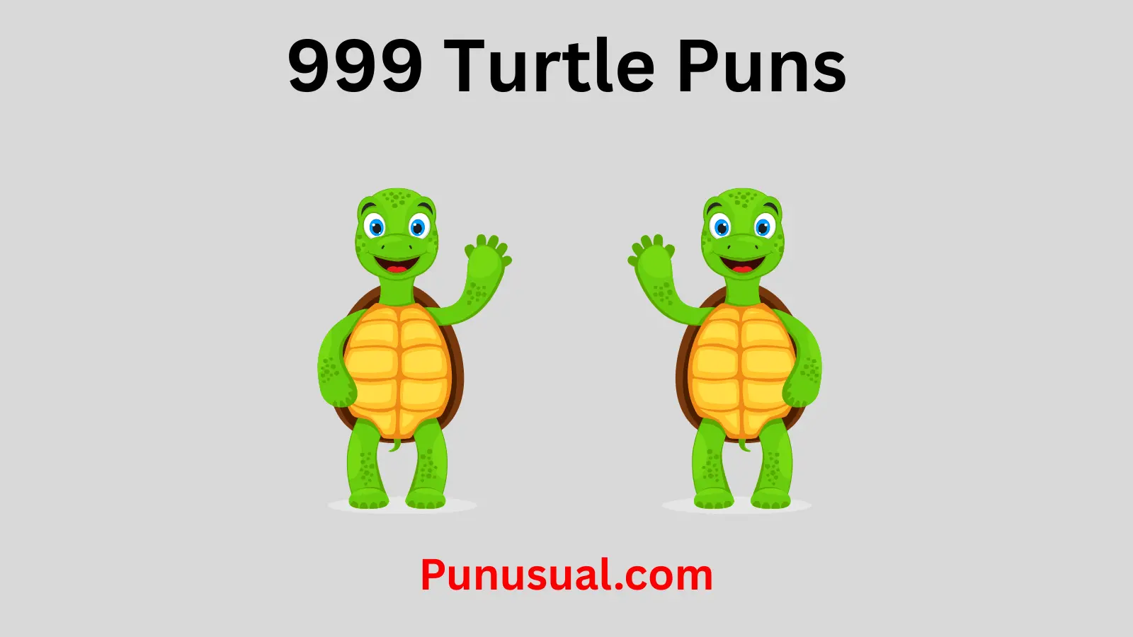 999+ Turtle Puns; Funny, Flirty and Cheesy for 2025